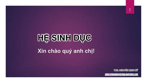 giải phẫu hệ sinh dục PDF