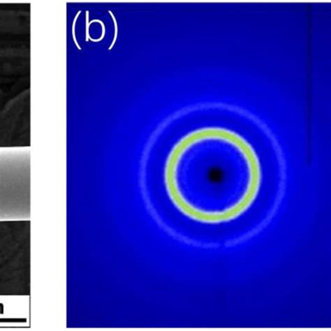 A Radial Distribution Functions Rdf R Versus Temperature B Download Scientific Diagram