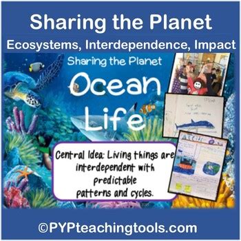 IB PYP Science Unit Of Inquiry Of Ocean Life Sharing The Planet