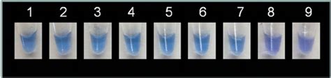Visualisation Of Reverse Transcriptase Loop Mediated Amplification Download Scientific Diagram
