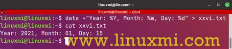 如何使用重定向操作符和tee命令将文本写入bash中的文件 Linux迷