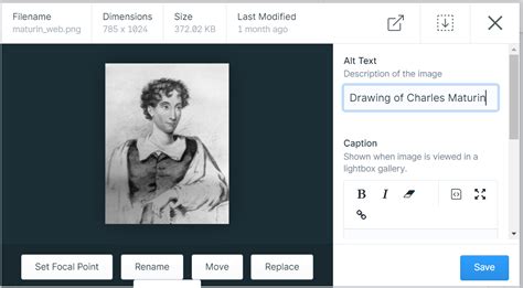 dissappearing asset fields · issue 7109 · statamic cms · github