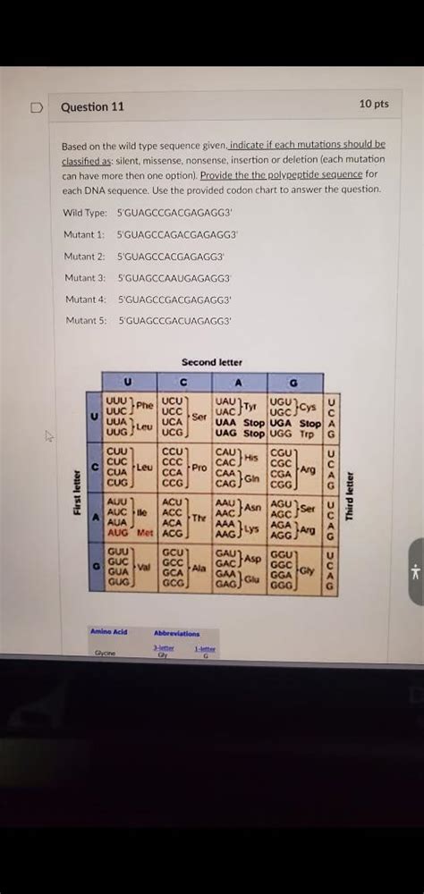 Solved D Question 11 10 Pts Based On The Wild Type Sequence