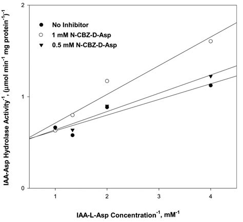 Double Reciprocal Lineweaver Burk Plot Of The Inhibited Reaction Data
