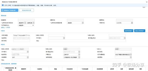 个人代开增值税（电子）普通发票