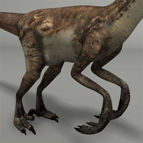 벨로시 랩터 3d 모델 28 3ds Fbx Max Obj Free3d