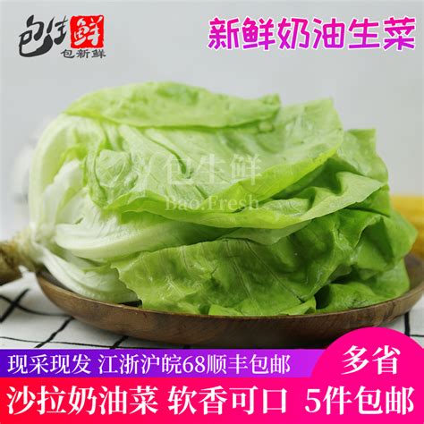新鲜奶油生菜500g波士顿沙拉菜蔬菜配菜 虎窝淘