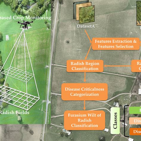 Overall Architecture Of Fusarium Wilt Of Radish Detection Model Download Scientific Diagram