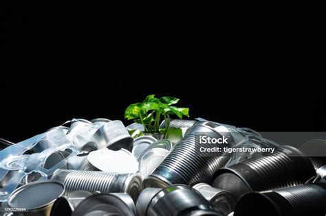 주석 알루미늄 먼지 쓰레기로 가득 토양에 녹색 성장 공장 농업 및 원예 또는 생태 재해 금속 알루미늄 주석 쓰레기 오염으로 인해 환경 재해 종말의 개념 비즈니스에 대한 스톡