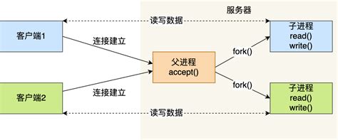 I O 多路复用select poll epoll 小林coding