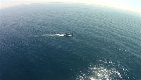 Seagulldatabasevis001small Vislab Computer And Robot Vision