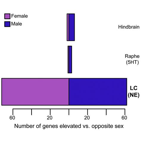 Molecular And Functional Sex Differences Of Noradrenergic Neurons In The Mouse Locus Coeruleus