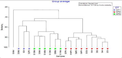 dendrogram obtained from the ascending hierarchical classification