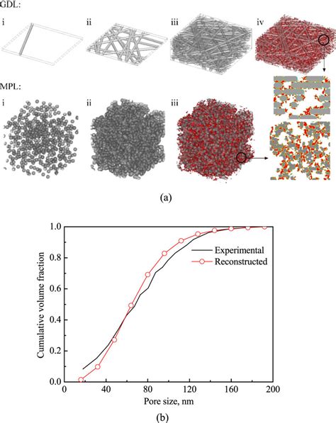 A Schematic Of The Reconstruction Process B Comparison Of The Pore Download Scientific