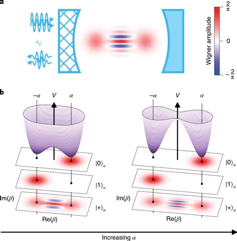 The Cat Qubit A Quantum Information Is Encoded In A Resonator Blue