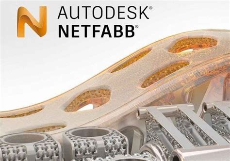 Buy Autodesk Netfabb Premium 2021 1 Year Windows Global Software License Gamivo