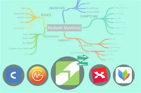 MindMeister Vs Coggle The Ultimate Showdown In Web Based Mind Mapping
