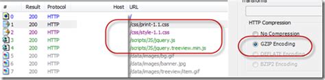 IE6 Gzip Bug Solved Using IIS7 S Rewrite Module Andornot Consulting