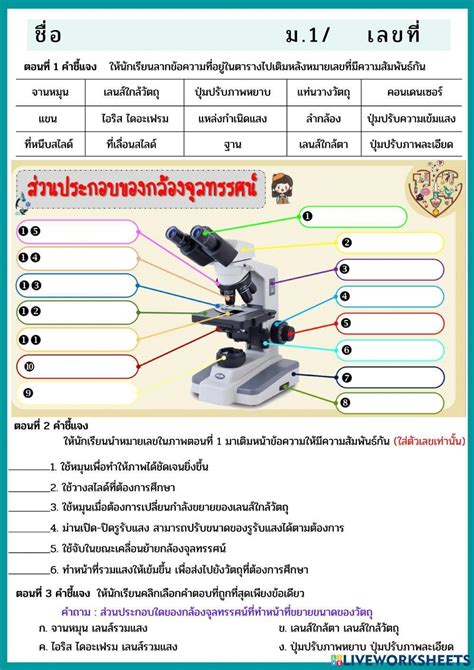 1618542 แบบทดสอบ เรื่อง