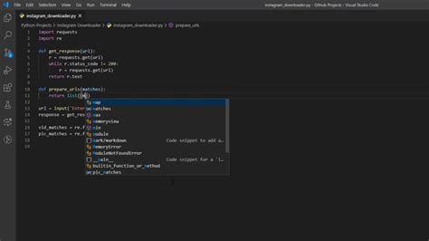 Instagram Downloader In Python Youtube