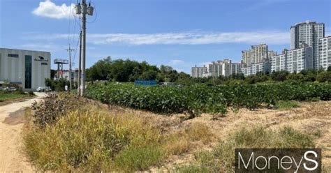 르포 Gtx 운정역 서희 스타힐스 15억원 간다는데