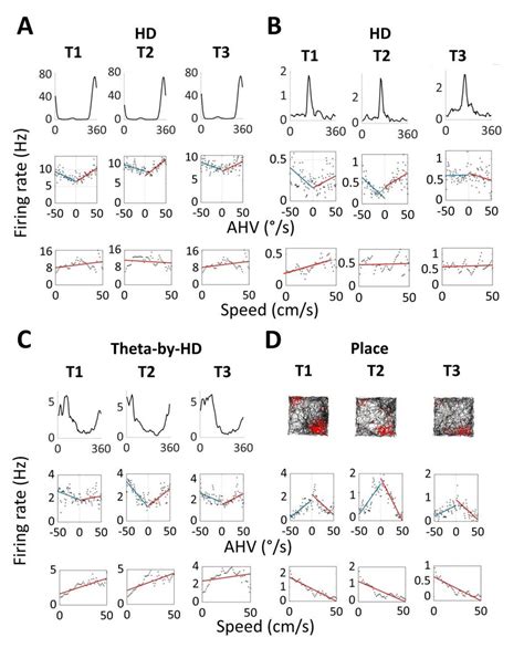 Spatial Cells Are Modulated By Linear And Angular Head Movements