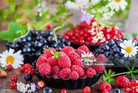 신선한 익은 여름 딸기전경 검정과 빨강 건포도 배경에 블루베리 라즈베리 0명에 대한 스톡 사진 및 기타 이미지 0명 건강한 식생활 검은색 Istock