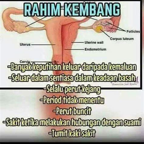 JAMU SUSUK DARA PENGIKAT SUAMI ISTERI RAHIM KEMBANG