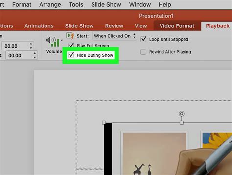 Embedding Video In Powerpoint For Mac 2011 Gainlord