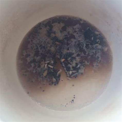 阿胶牛奶图册 360百科