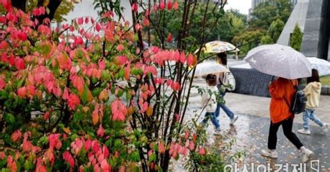 포토 성큼 다가온 가을