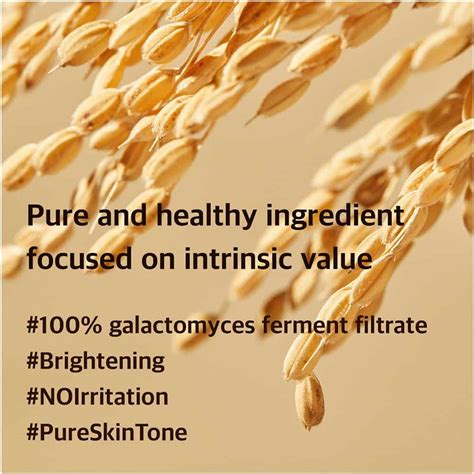 Mixsoon Galactomyces Ferment Essence | Buy Online