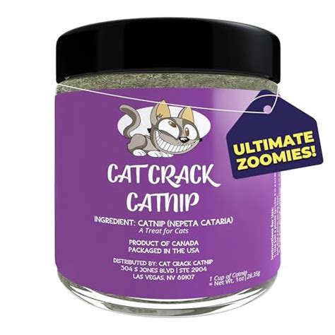Catnip Bubbles The 15 Best Products Compared Wild Explained