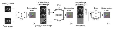 Diffusereg Denoising Diffusion Model For Obtaining Deformation Fields In Unsupervised