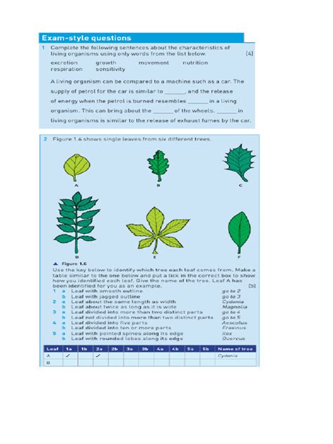 igcse unit 1 assignment 1 pdf