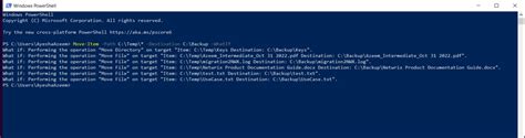 Using Powershell Move Item Cmdlet To Move Files