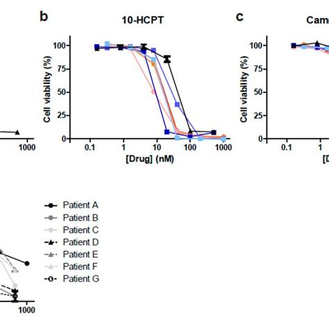 Sn 38 Is The Most Potent Camptothecin Derived Inhibitor Of All In Download Scientific Diagram