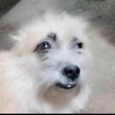 Liam Patrick Youtube