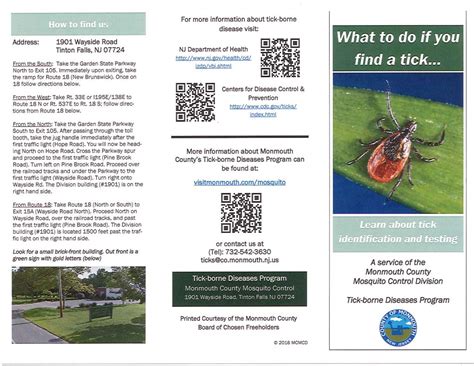 What Should You Do If You Find A Tick The Source