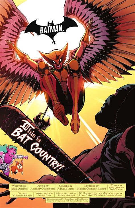 [comic excerpt] stop naming robins hawkgirl 2023 issue 3 r dccomics