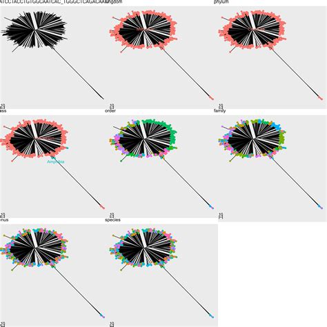 Error In Curl · Issue 55 · Mvesuviuscprimertree · Github