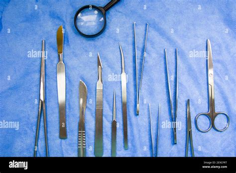 Dissection Kit Tools And Uses At Linda Siddiqui Blog
