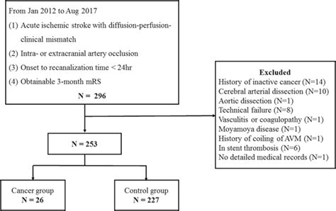 Flowchart Of The Patient Selection Process Mrs Modified Rankin Scale Download Scientific