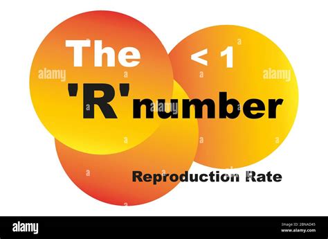 The R Value Reproduction Rate Vector Illustration Stock Vector Image