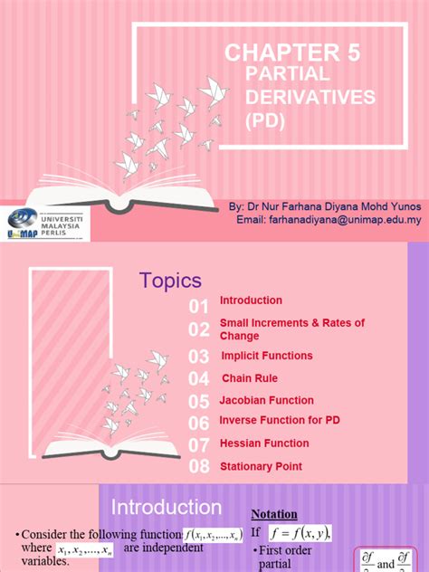 Chapter 6 Partial Derivative Pdf Derivative Function Mathematics