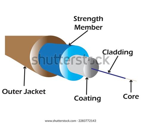 Structure Optical Fibers Diagram Isolated On Stock Vector Royalty Free 2283772143 Shutterstock