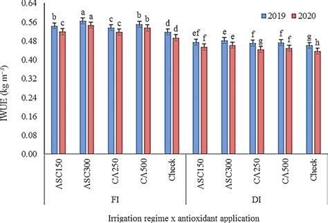 Irrigation Water Use Efficiency Iwue Of Sunflower Response To Download Scientific Diagram
