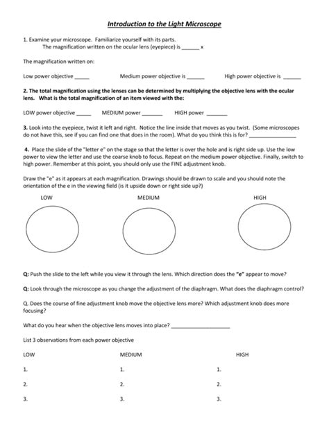 Light Microscope Introduction Worksheet