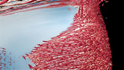 Les To Characterize Shock Boundary Layer Interaction In A 3d Transonic Turbofan Argonne