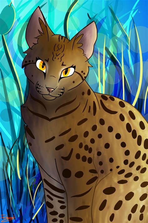 Leopardstar By Forteycat On Deviantart